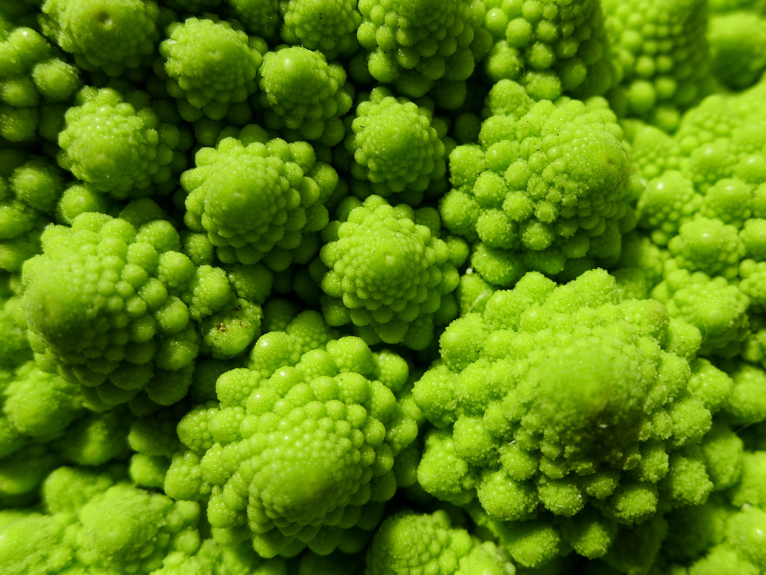 Romanesco Cauliflower (3)