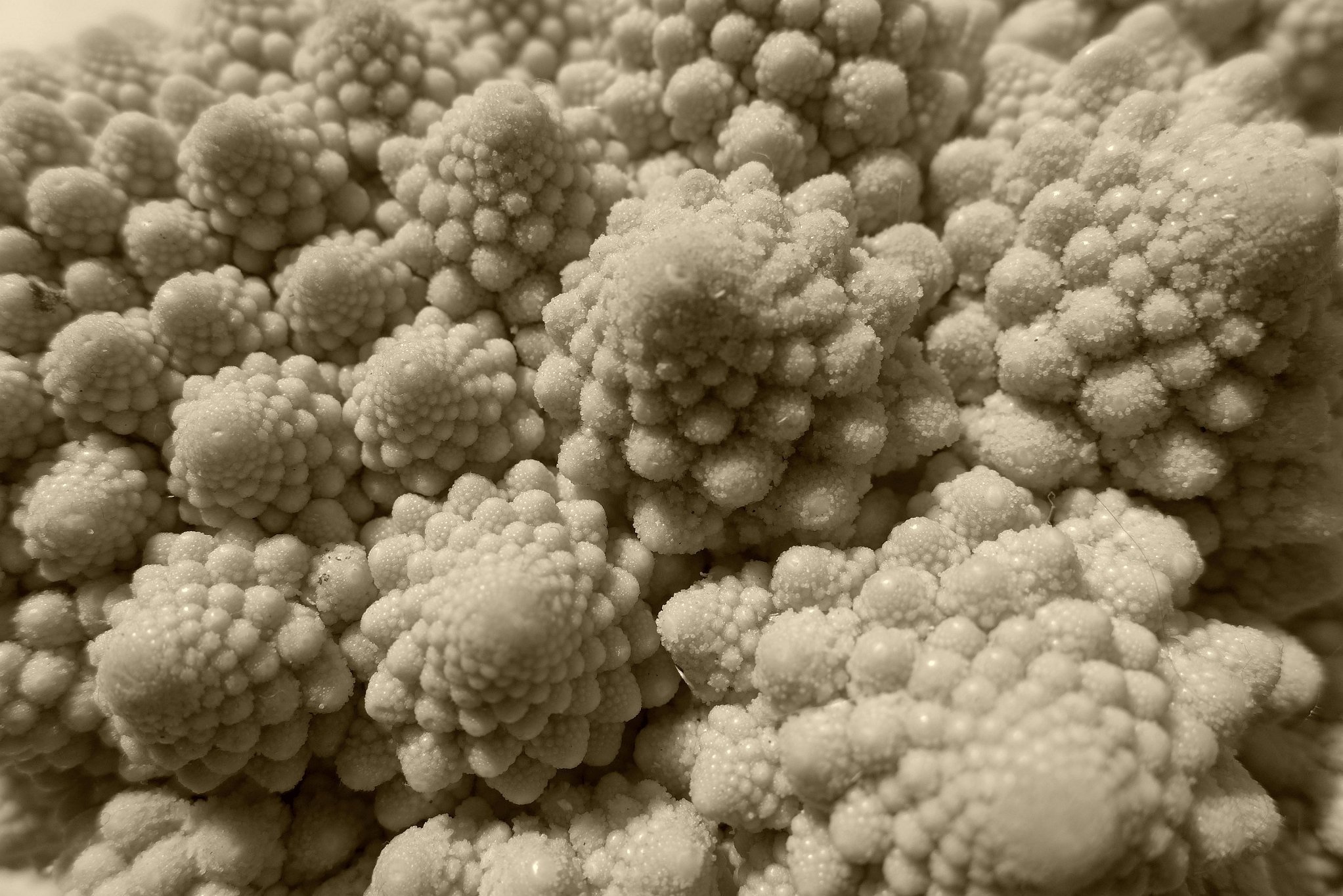 Romanesco Cauliflower (2)